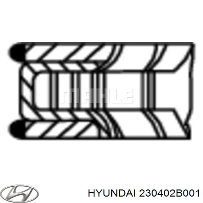 230402B001 Hyundai/Kia кільця поршневі комплект на мотор, std. - купити ...