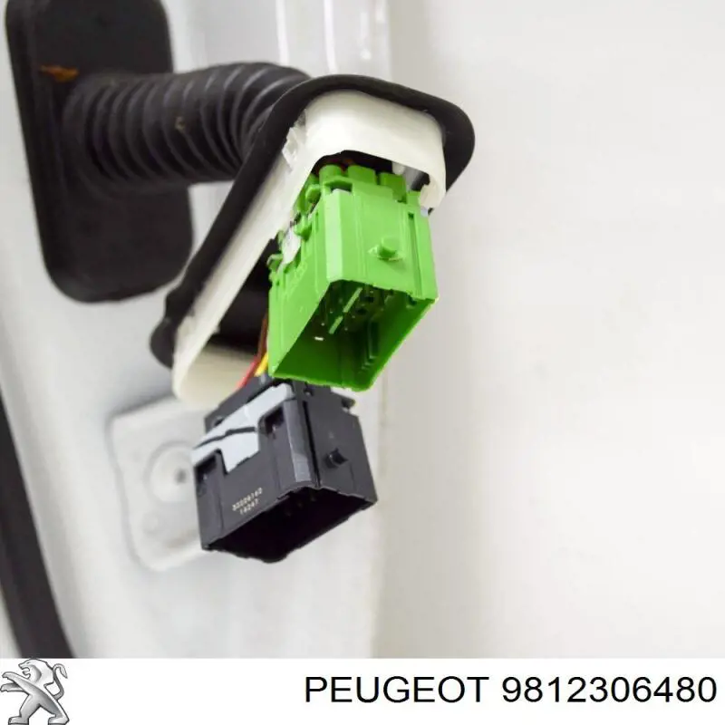 Купити Двері передні ліві Peugeot 5008 2 в Україні
