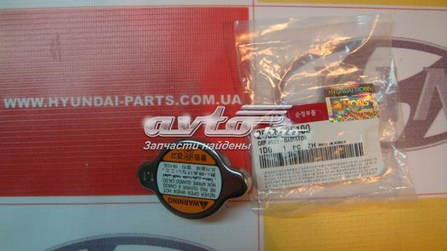 253302E100 Hyundai/Kia кришка/пробка радіатора