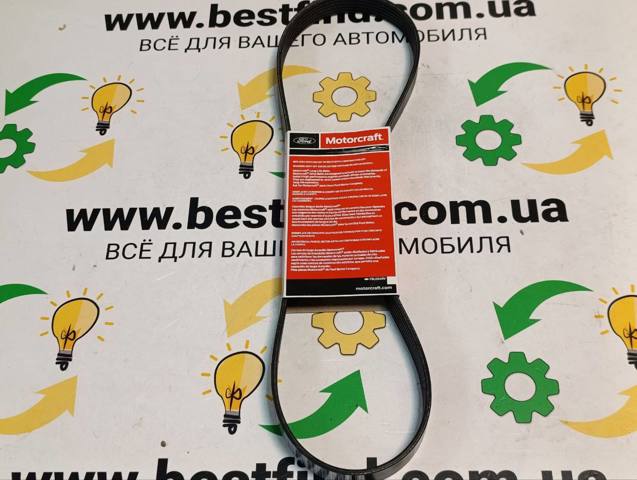 F1EZ8620A Ford ремінь генератора - купити онлайн в Україні