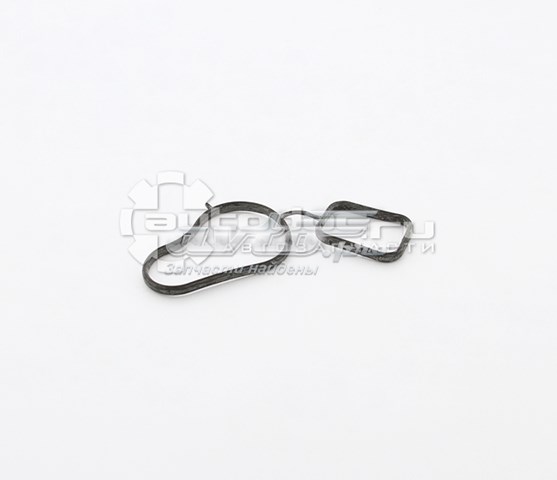 06J121119 VAG прокладка водяної помпи